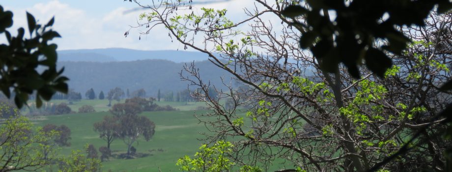Remnants of Old Tracks in the Lithgow Valley – jml297